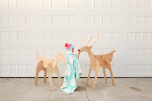 DIY Wooden Deer