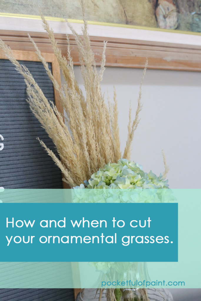 How To Trim Your Ornamental Grass